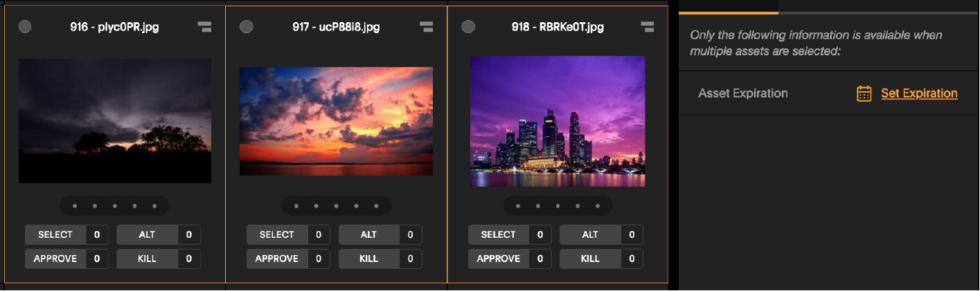 Asset Expiration Dates – globaledit Support