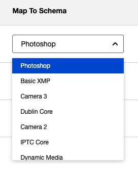 Metadata - Creating Master Schemas – globaledit Support