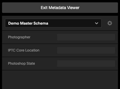 Metadata - Creating Master Schemas – globaledit Support